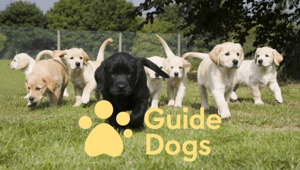 Year 7 Sponsored Zumba in aid of Guide Dogs UK - Wakefield Girls High ...